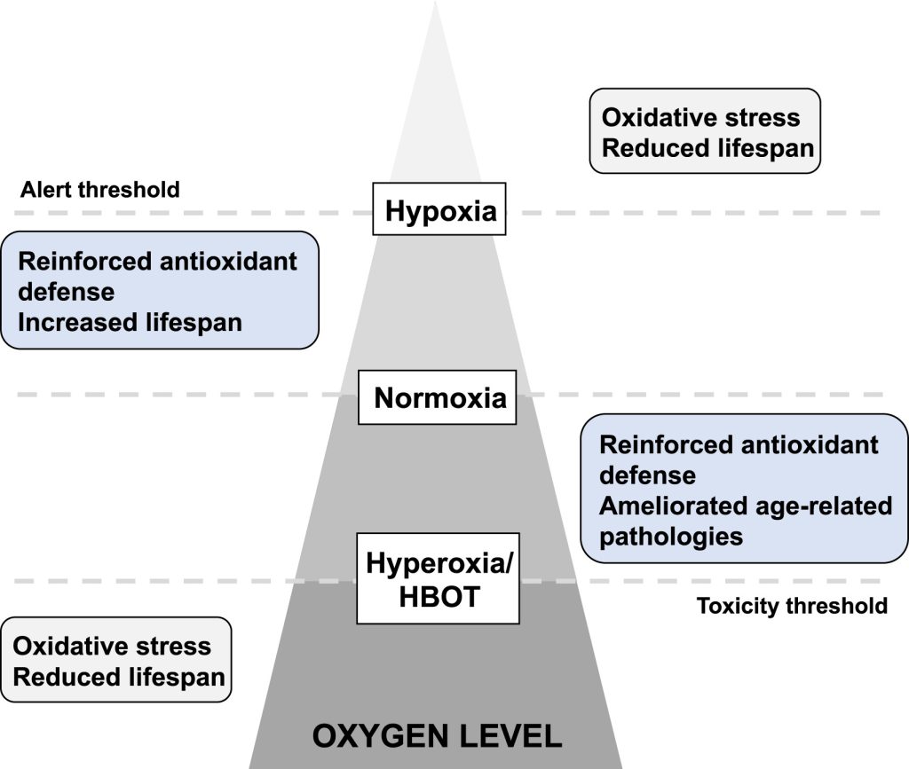 Hyperbaric Oxygen Therapy for Healthy Aging | Hue Light USA