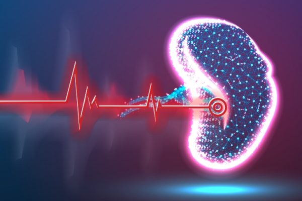 How Red Light Therapy Supports the Kidneys (Research Review)